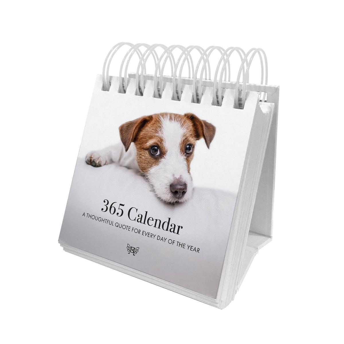 Animal 365 Calender – Emporium Lane